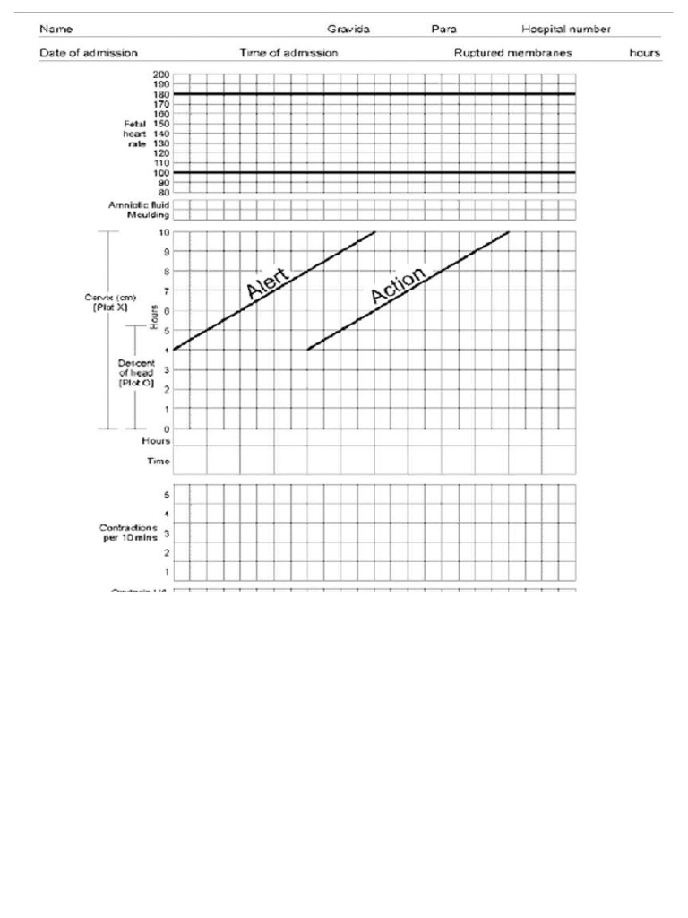 Who Partograph Form | PDF