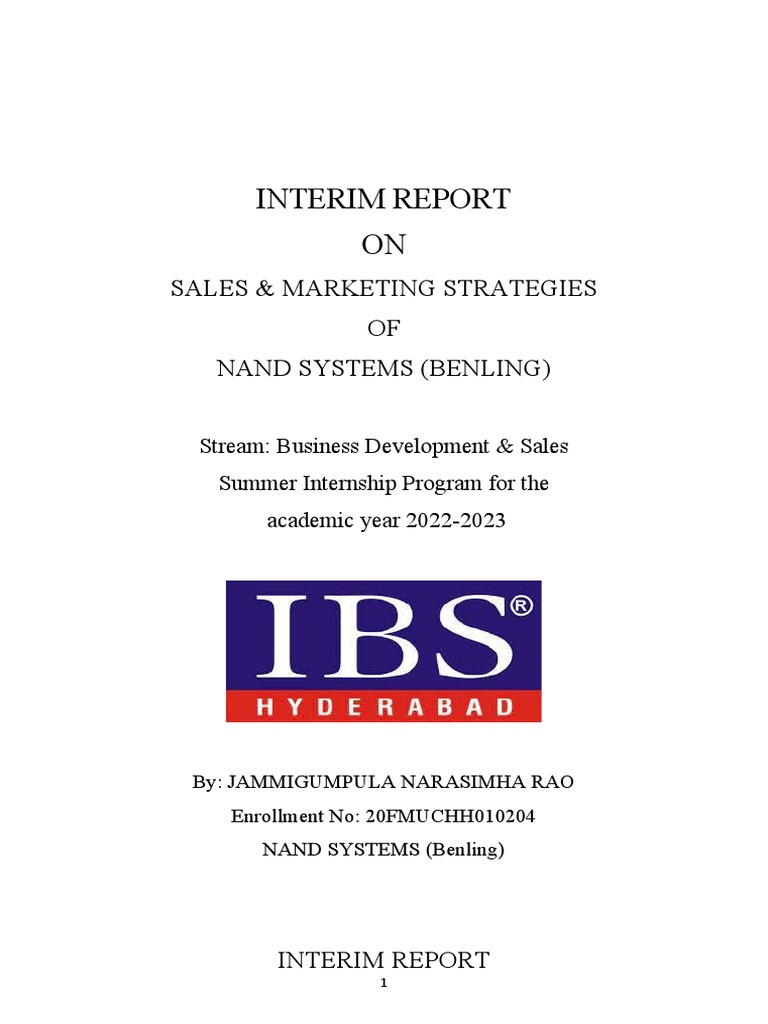 INTERIM REPORT Sip 2 | PDF | Sales | Marketing