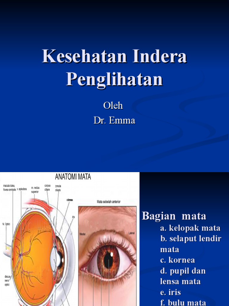 Panduan Kesehatan Mata dan Pencegahan | PDF | Sains & Matematika ...