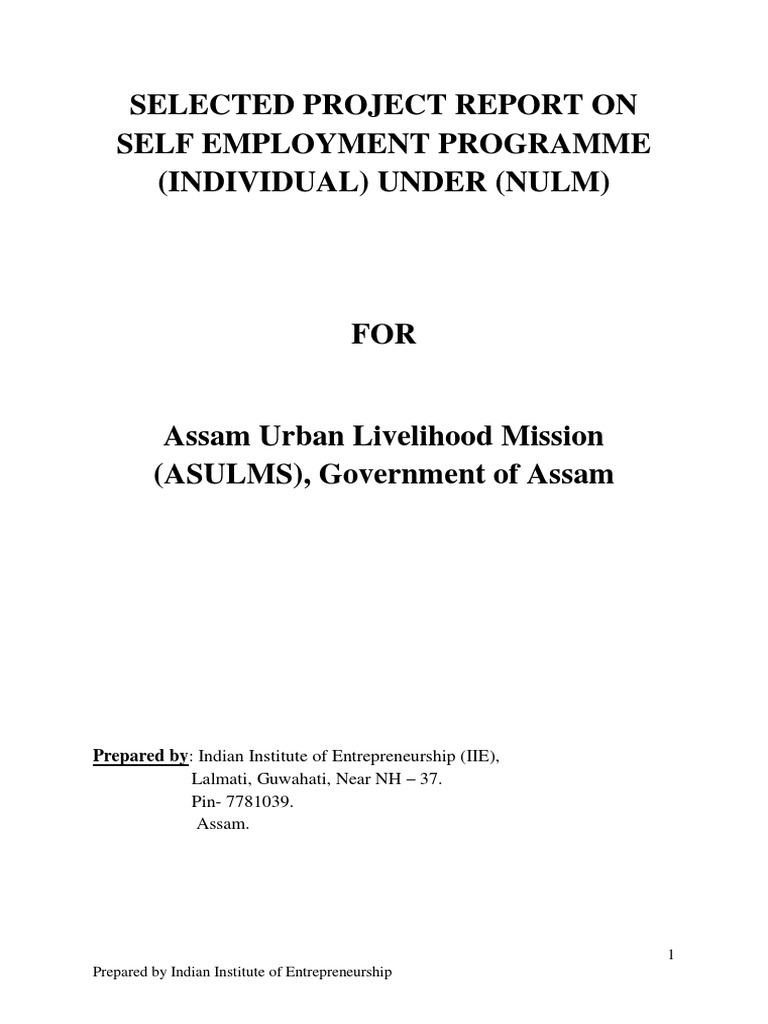 Sample SEP Project Proposal | PDF | Depreciation | Electric Motor