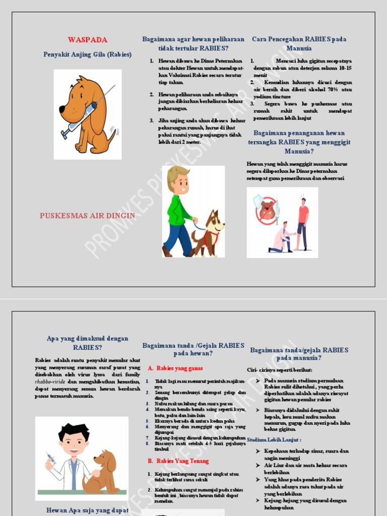 Leaflet Rabies | PDF
