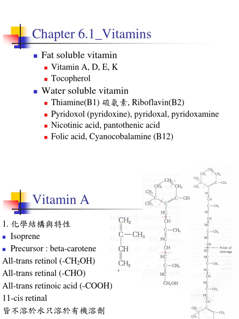 Chapter 6.1 Vitamins | PDF