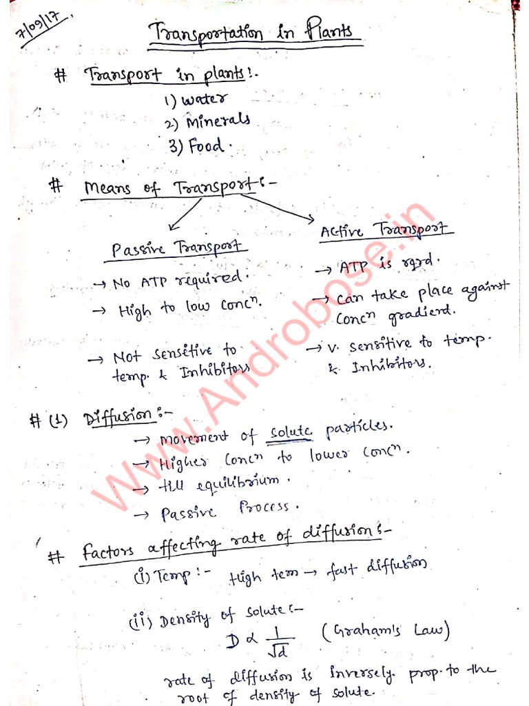 Transport in Plants Notes PDF Np5k2k | PDF
