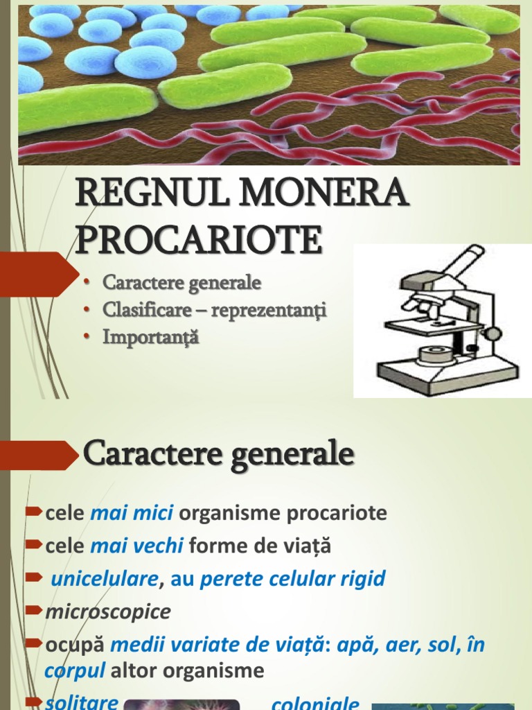 9 Regnul Monera PPT | PDF
