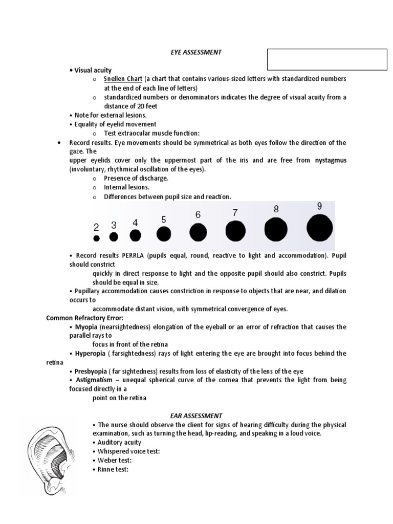 Visual Acuity: Eye Assessment | PDF | Eye | Face