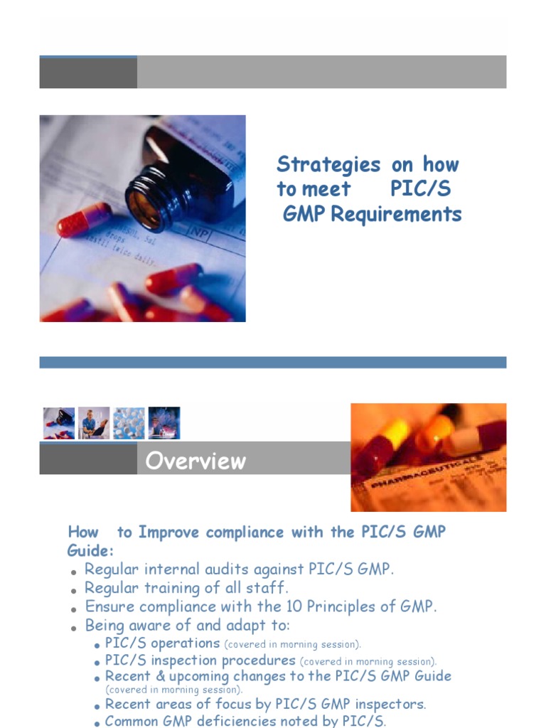 Strategies On How To Meet Pic/S GMP Requirements | PDF | Internal Audit ...