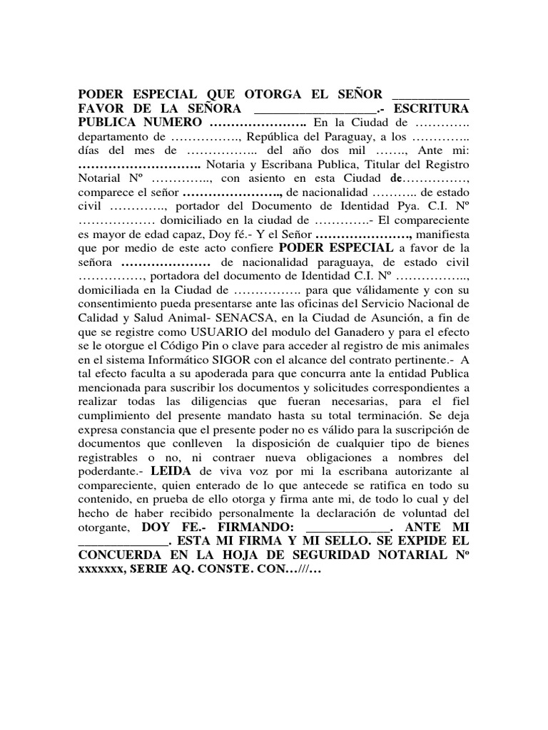 Modelo Del Poder Especial | PDF