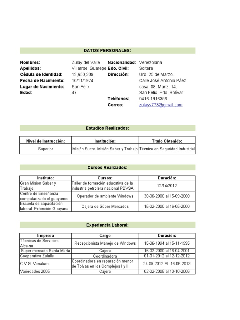 Zulay Curriculum1 | PDF