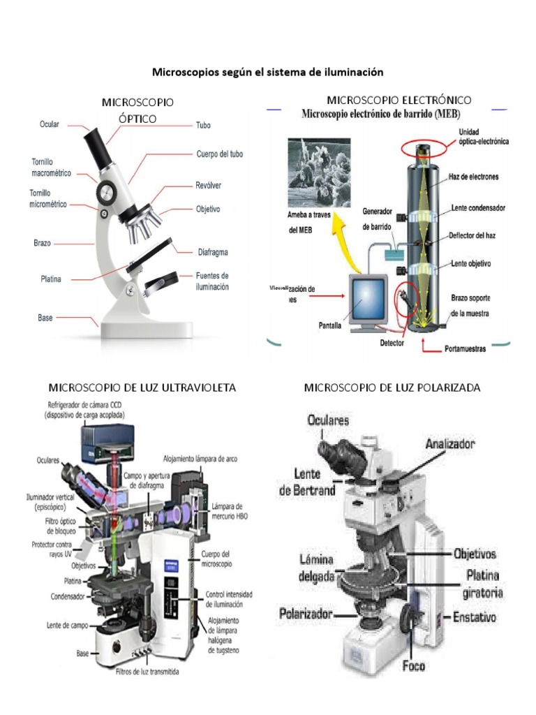 Tipos de Microscopios | PDF