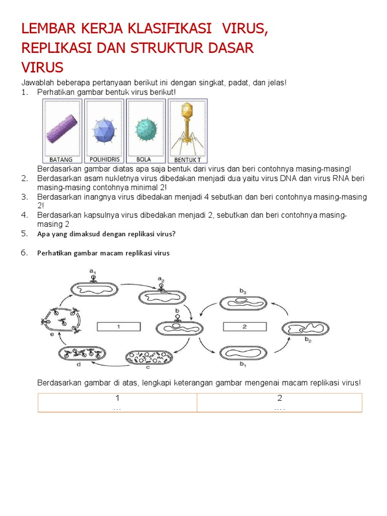 Lembar Kerja Peserta Didik Replikasi Virus | PDF