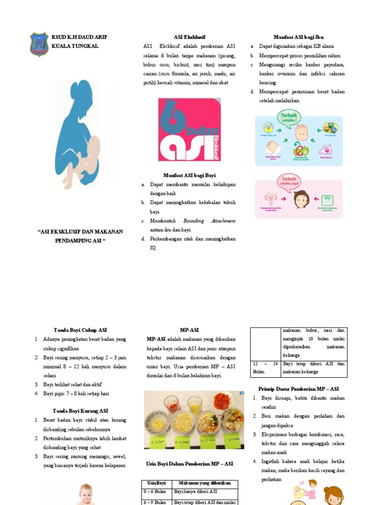 Pendampingan ASI Eksklusif dan MP-ASI | PDF