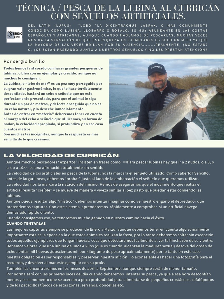 Pesca de Lubina al Curricán: Guía Completa | PDF | Pescado