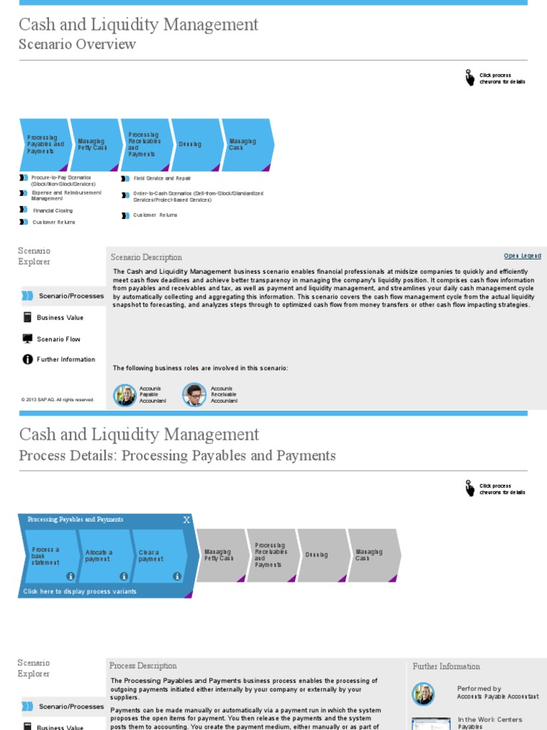 Cash and Liquidity Management: Scenario Overview | PDF | Payments ...