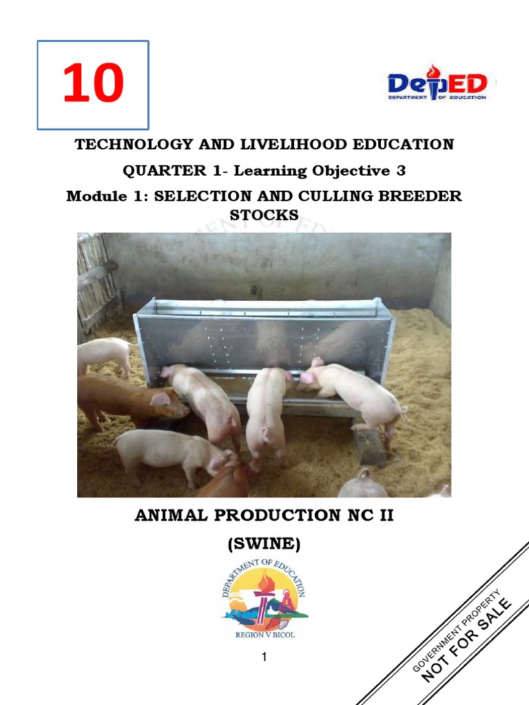 Animal Production Grade 10 -Q1 M1(swine) | PDF | Pig | Natural Selection