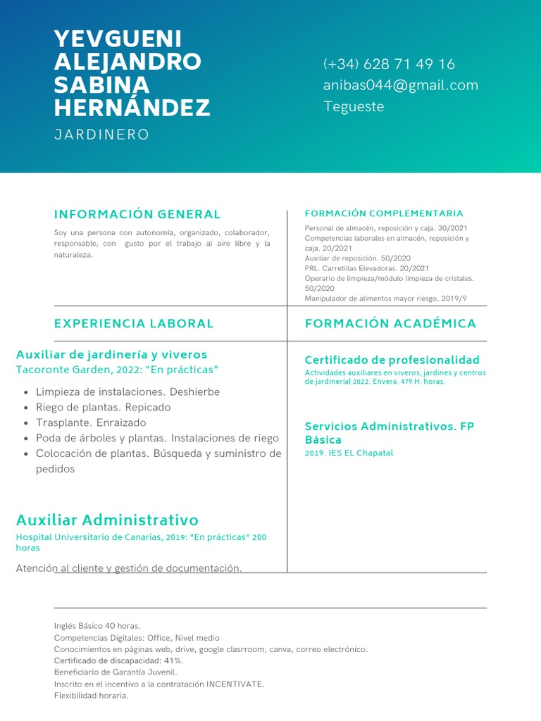 CV Alejandro Sabina | PDF