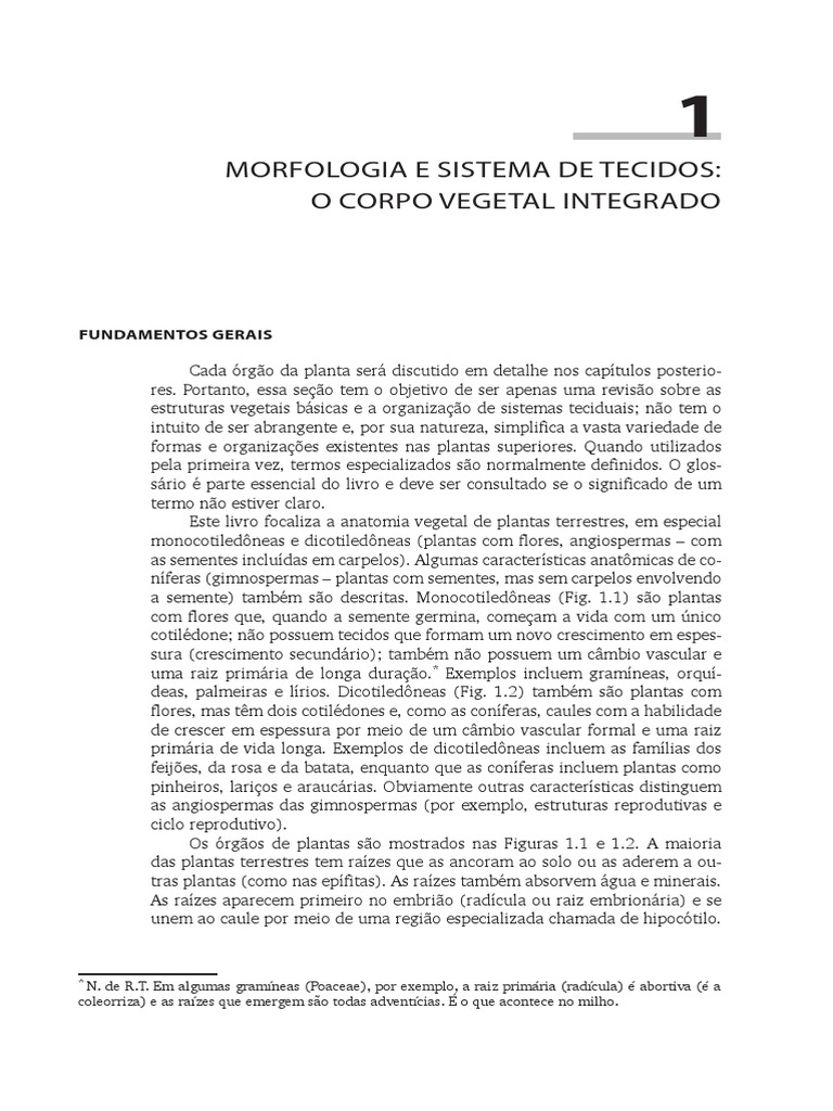 Anatomia Vegetal Uma Abordagem Aplicada DEG | PDF | Raiz | Plantas