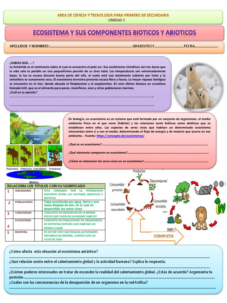 Ficha Sobre El Ecosistema y Componentes Abiotico y Bioticos | PDF ...