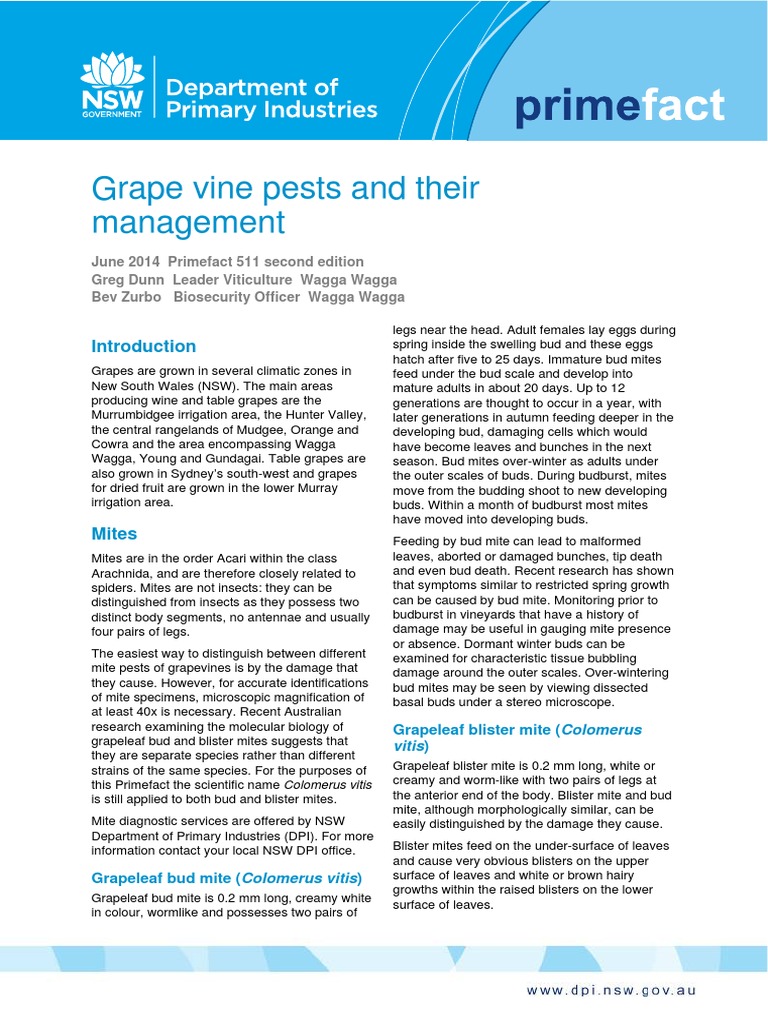 Grape Vine Pests and Their Management | PDF | Vitis | Pest (Organism)