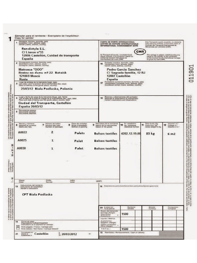 Formato Lleno Carta Porte | PDF