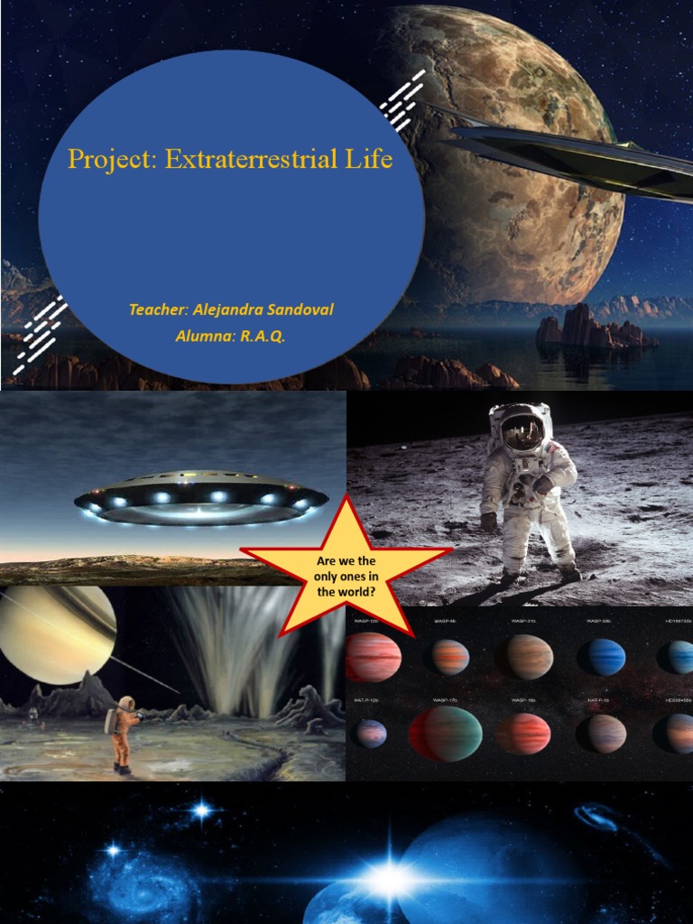 Proyecto B9-Example (2) | PDF