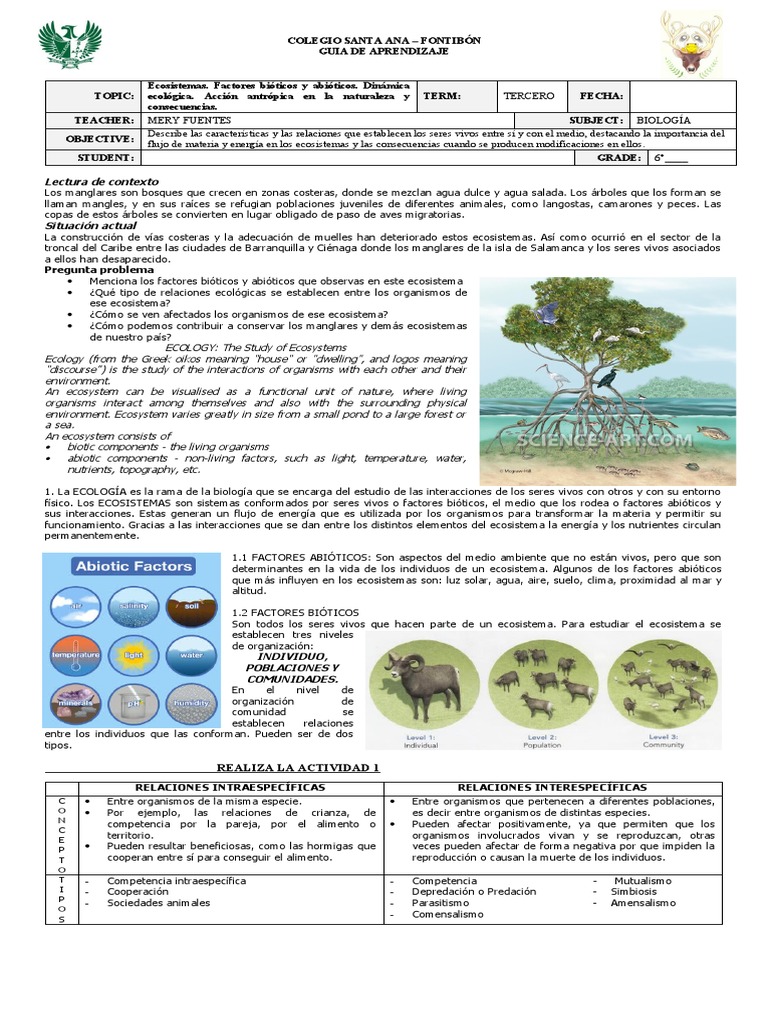 Guia Sexto Tercer Periodo | PDF | Red alimentaria | Ecosistema