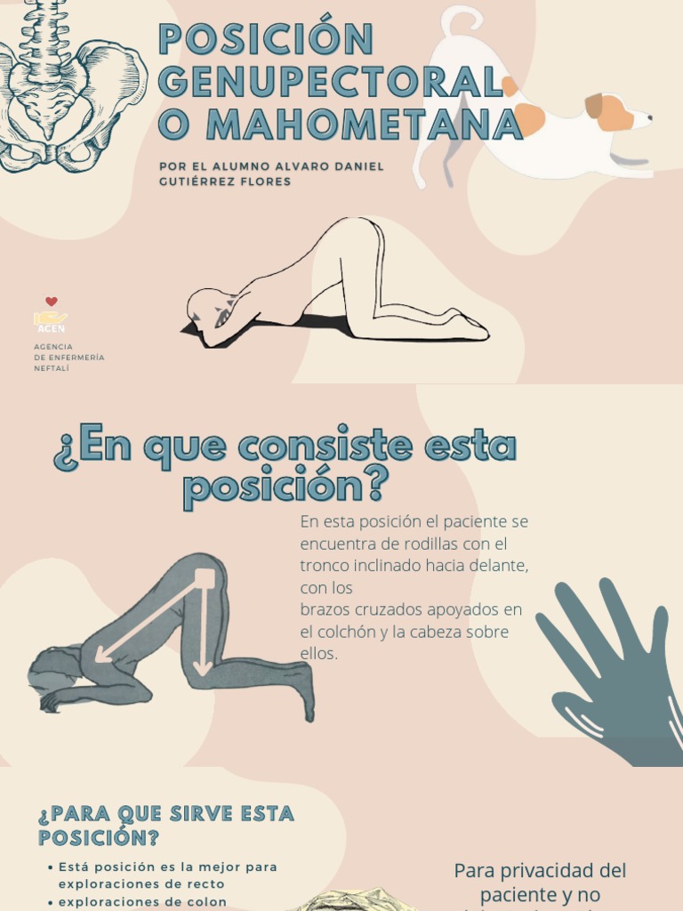 Posición Genupectoral | PDF