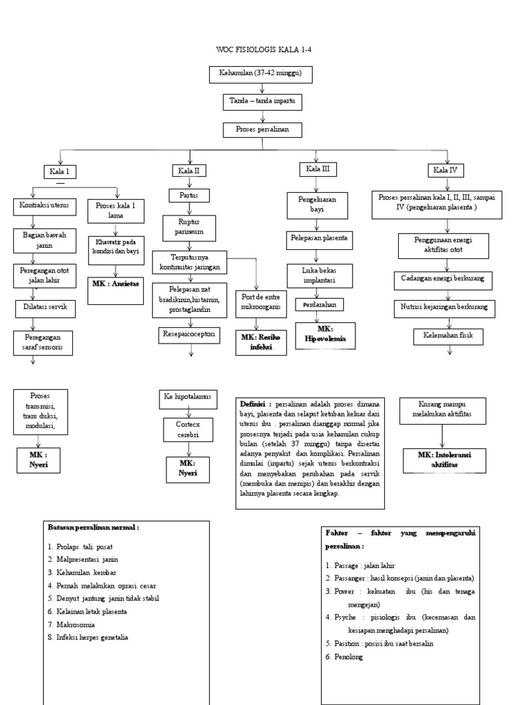 Woc Fisiologis Kala 1-4 | PDF
