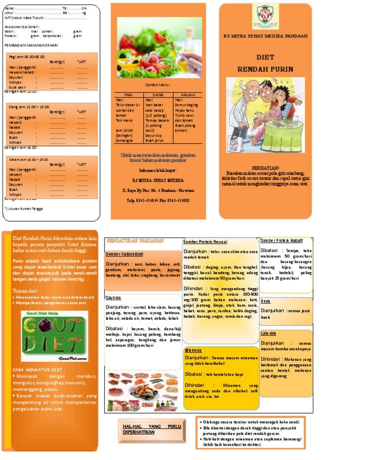 Rendah Purin Leaflet | PDF