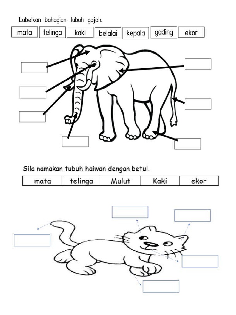 Worksheet Tahun 1-Sc-Haiwan | PDF