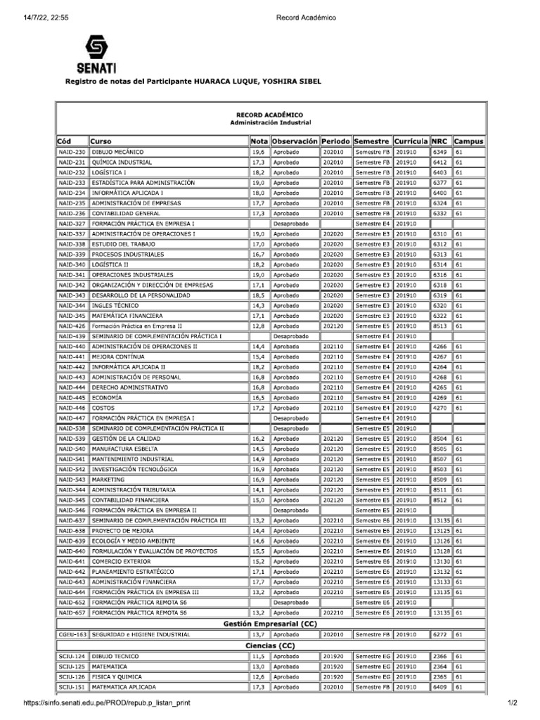 Record Notas Senati | PDF
