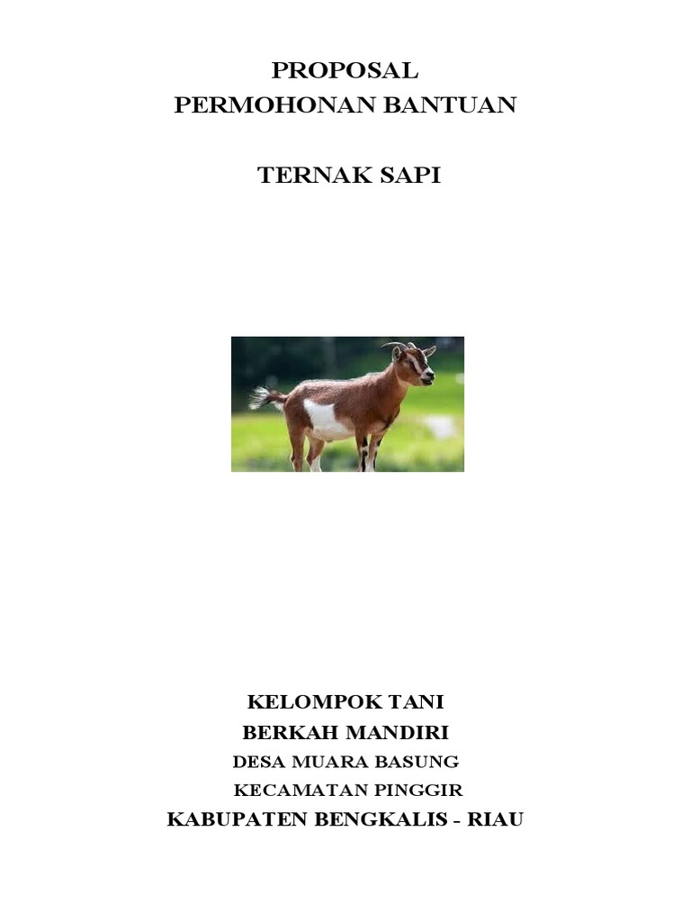 Proposal Sapi Muara Basung 2022 | PDF