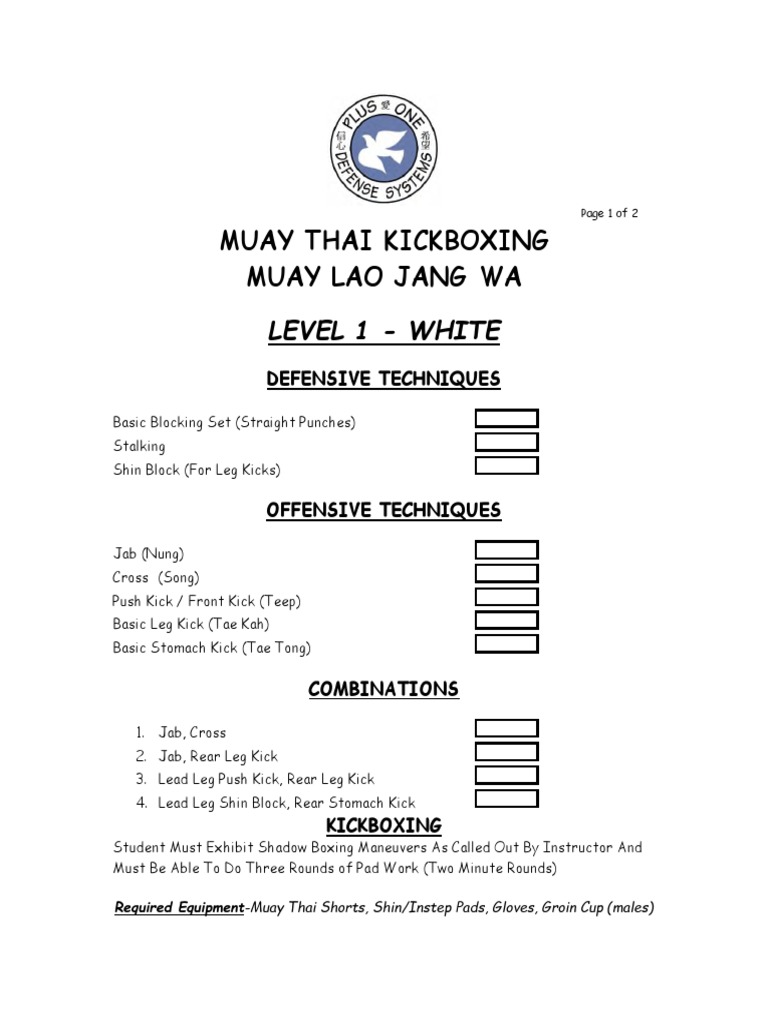 Muay Thai Kickboxing Curriculum | PDF | Muay Thai | Individual Sports