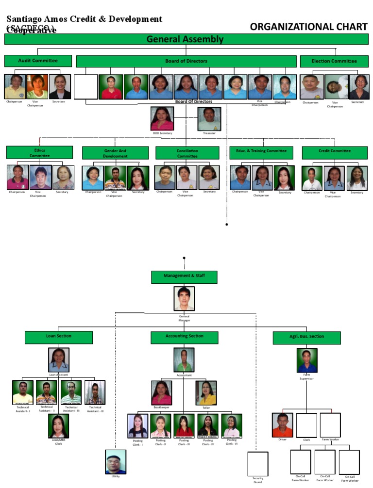 Organizational Chart: General Assembly | PDF | Service Industries ...