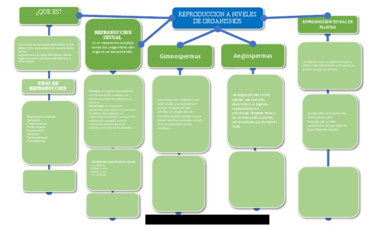 Plantilla Mapa Conceptual 21 | PDF | Reproducción | Plantas