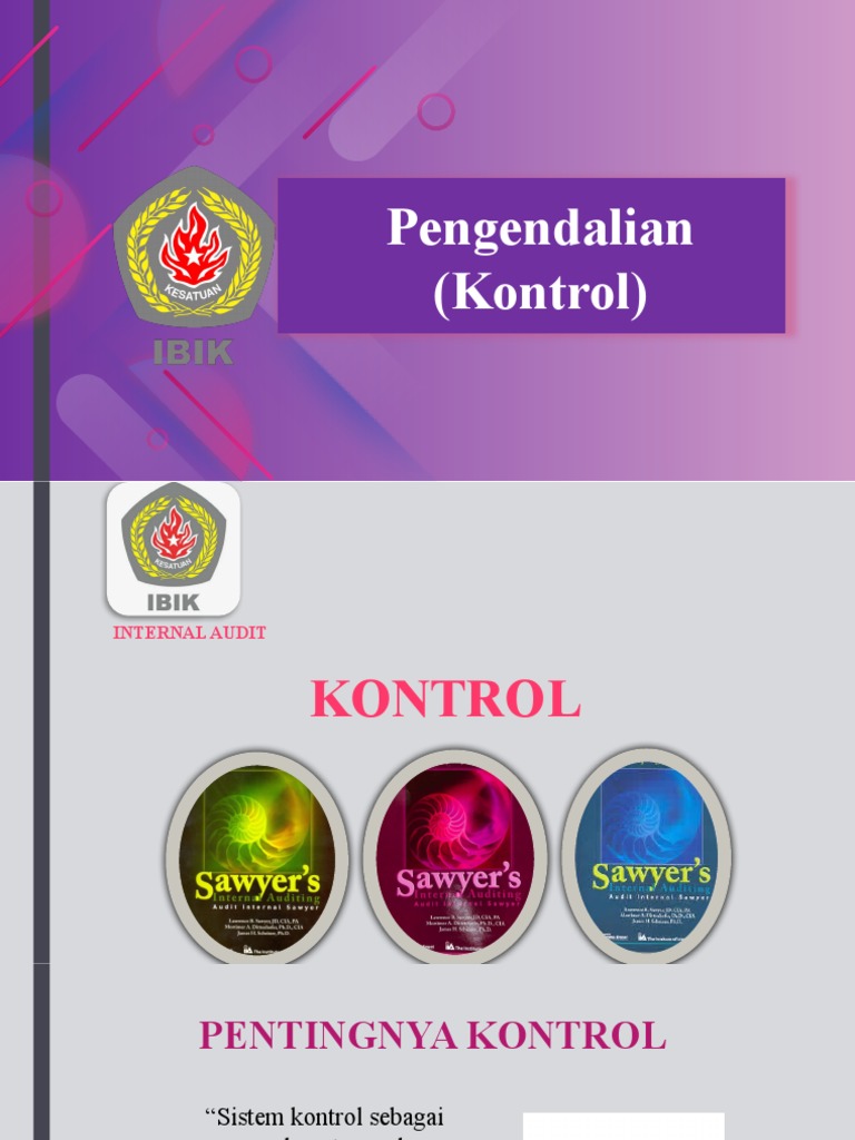 Temu 3 - Internal Audit - Kontrol | PDF