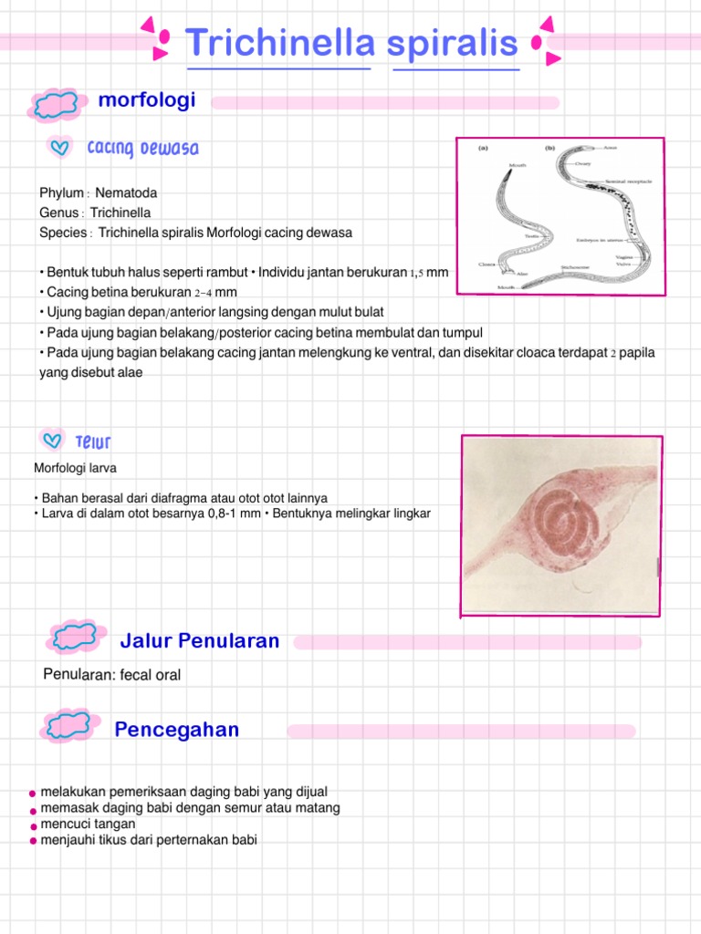 Trichinella Spiralis | PDF | Sains & Matematika