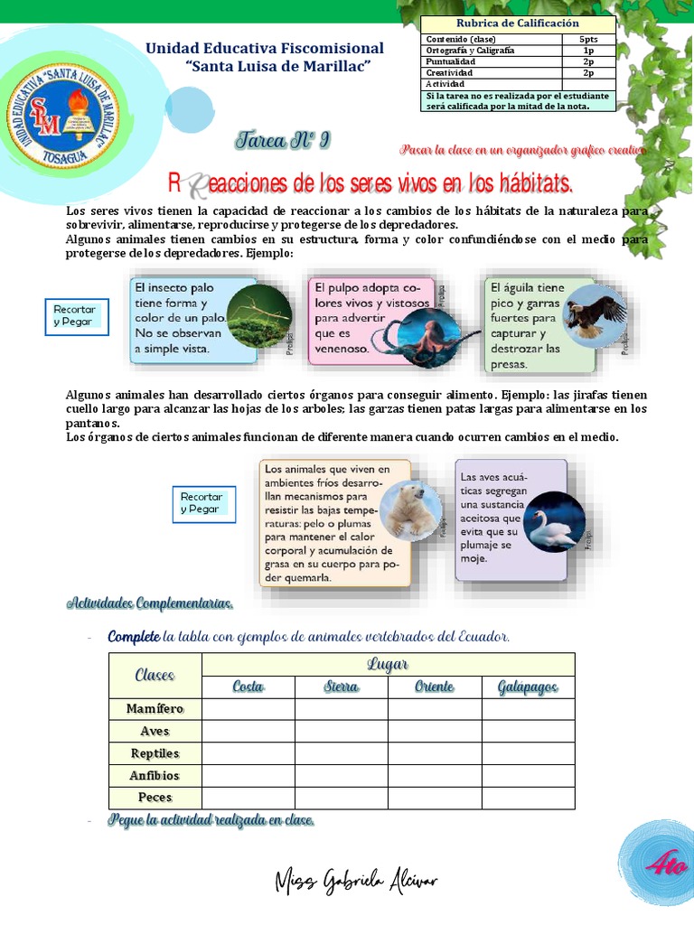 TAREA 9 - Reacciones de Los Seres Vivos | PDF