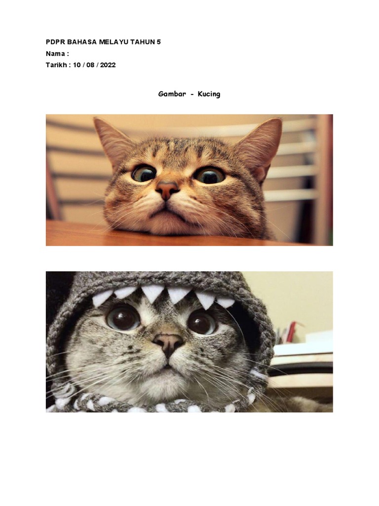 Aktiviti Latihan Karangan Jenis Autobiografi Pdf