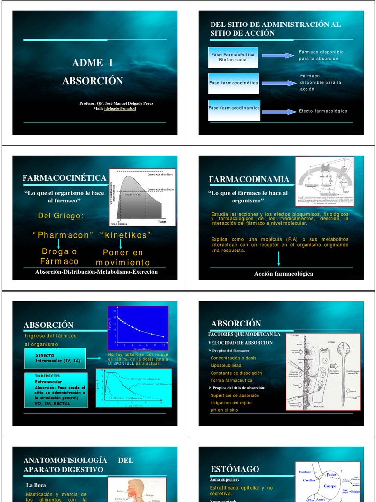 Clase 2 - ADME Absorcion | PDF | Bilis | Sistema digestivo humano