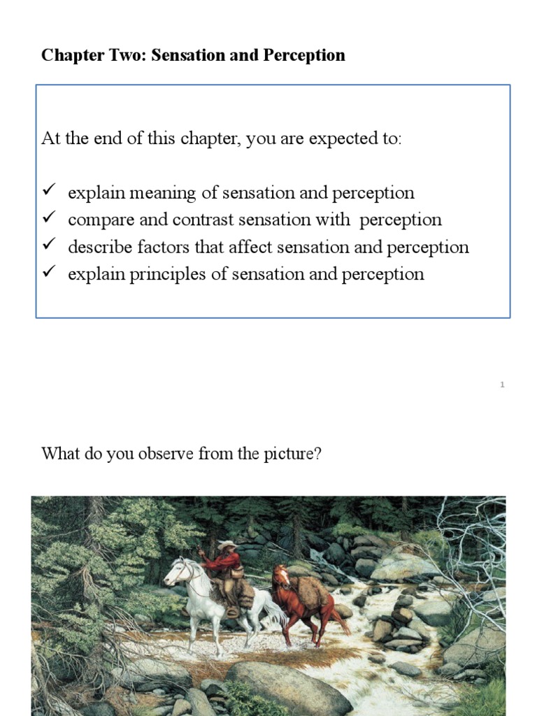 Chapter Two: Sensation and Perception | PDF | Perception | Senses
