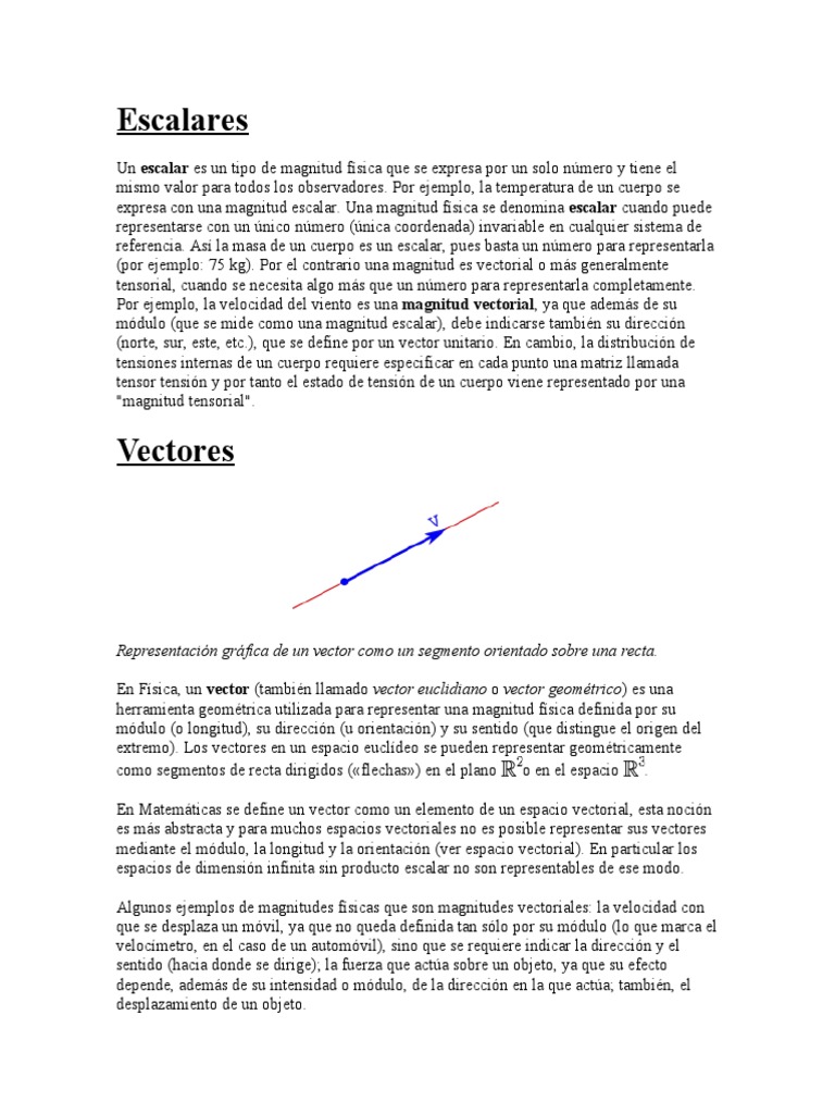Escalares y Vectores | PDF | Vector Euclidiano | Espacio vectorial