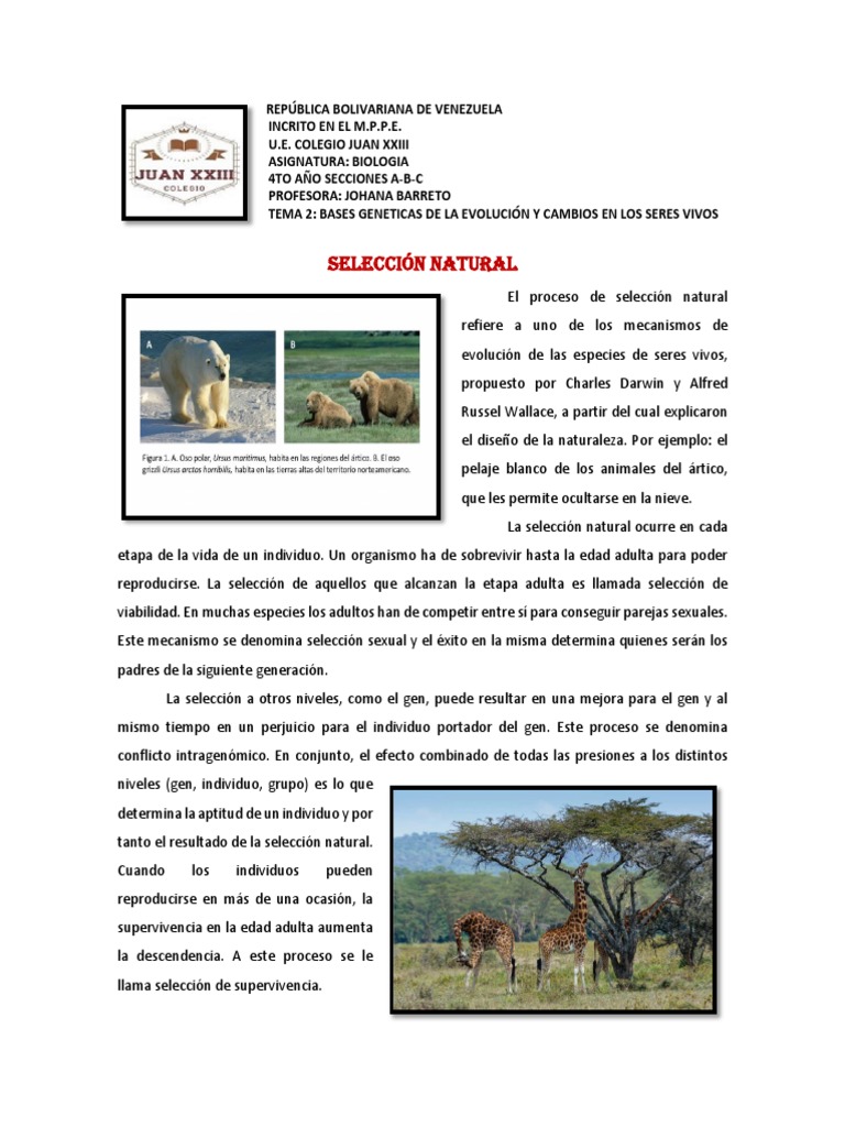 BIOLOGIA Guia 4 | PDF | Seleccion natural | Evolución