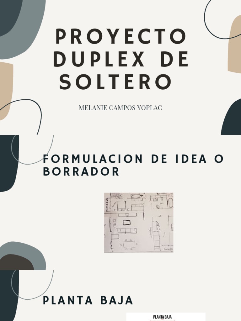 Proyecto Duplex de Soltero | PDF