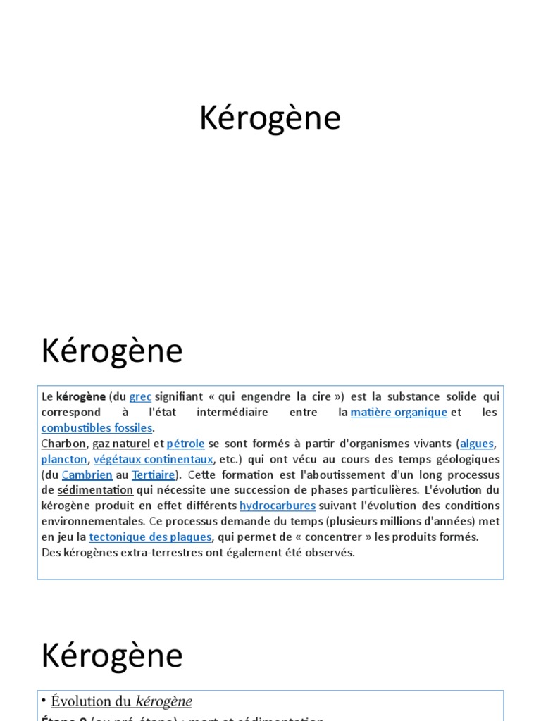 Formation et Évolution du Kérogène | PDF | Pétrole | Chimie