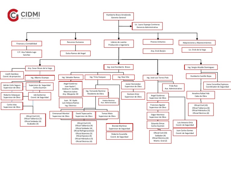 Organigrama CIDMI | PDF