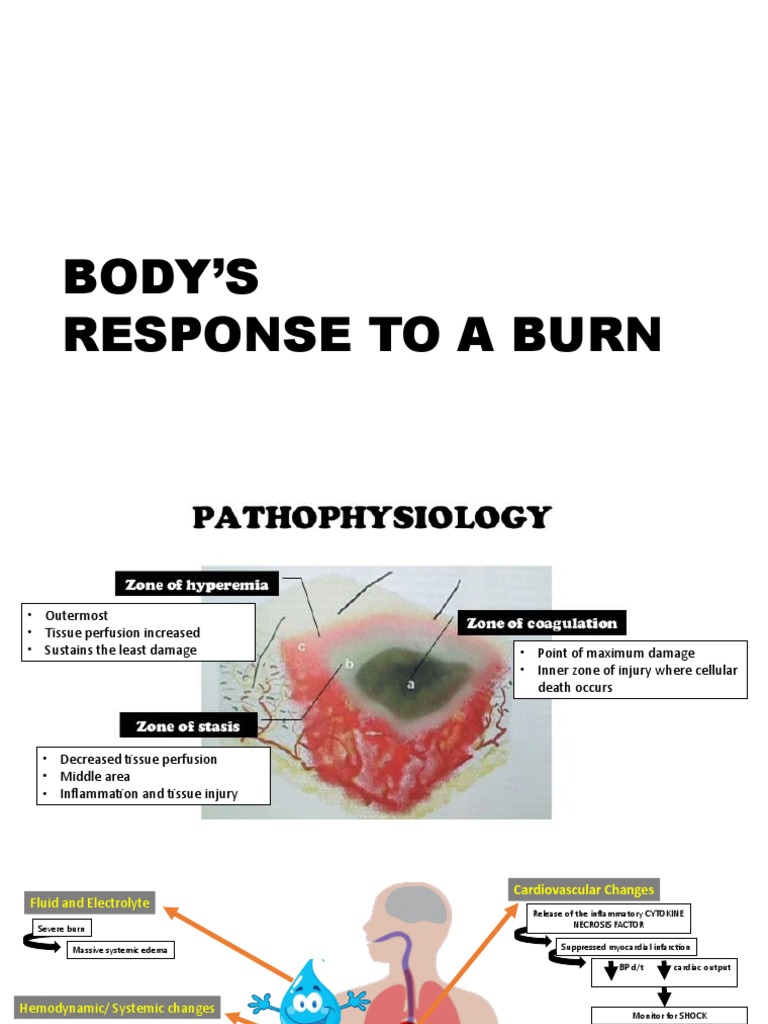 Burn Pathophysiology | PDF