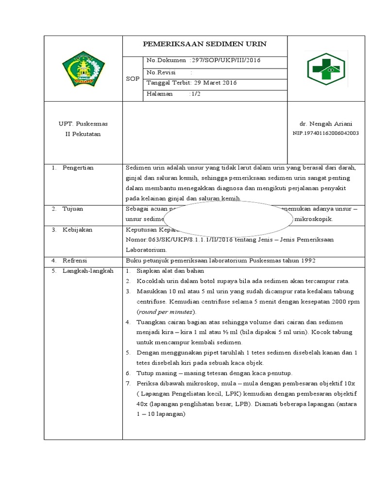 Pemeriksaan Sedimen Urin Lengkap | PDF