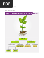 Grade 5 Science Soil | PDF | Topsoil | Soil