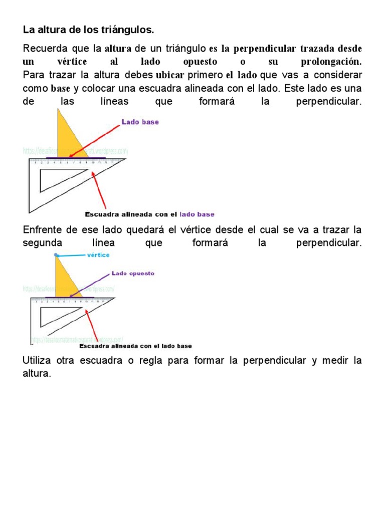 La Altura de Los Triángulos | PDF | Triángulo | Perpendicular
