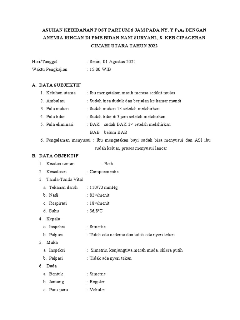 Asuhan Kebidanan Post Partum 6 Jam Pada Ny Dengan Anemia Pdf